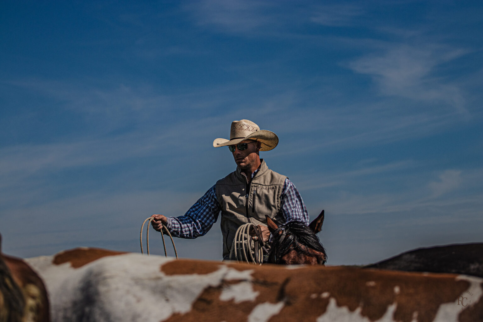 Ranch Hand | Leather Horse Tack | Dog Collars | Bags